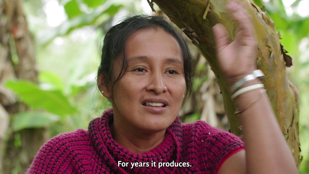 "REBBL With A Cause " Short Food Film Released, hosted by Ruby Rose ...