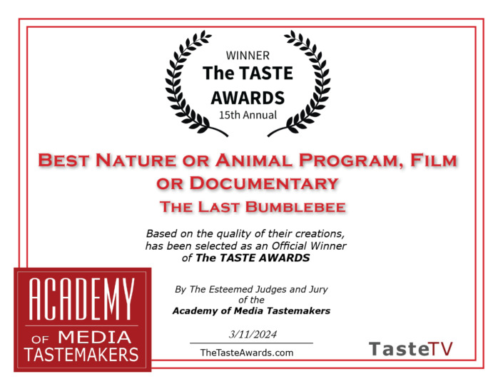 Award Certificates - 15th Annual TASTE AWARDS - The TASTE AWARDS